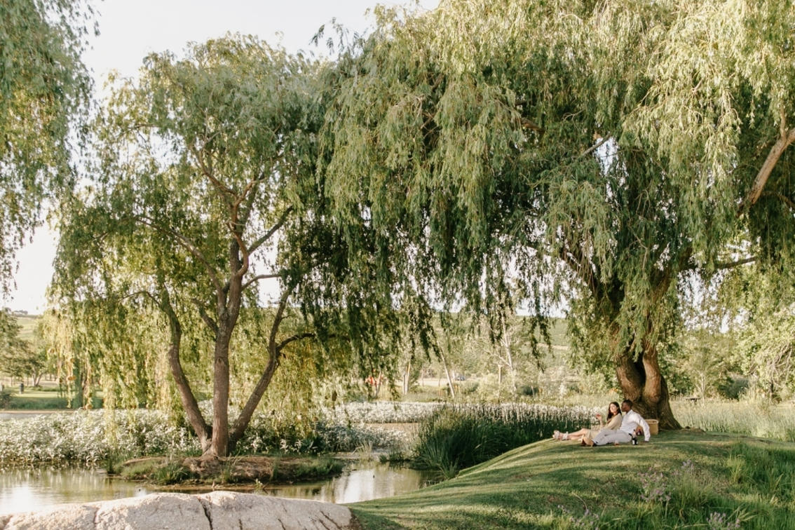 Spier Hotel - Gallery