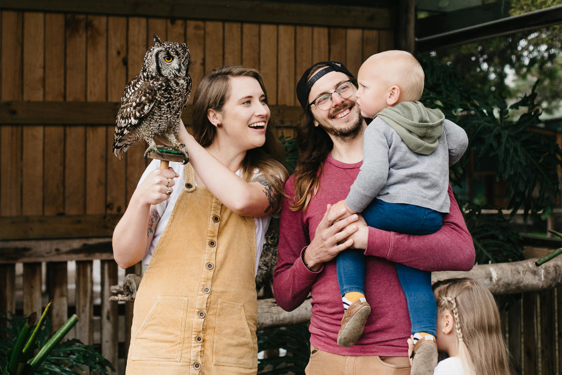 Spier Hotel - Gallery