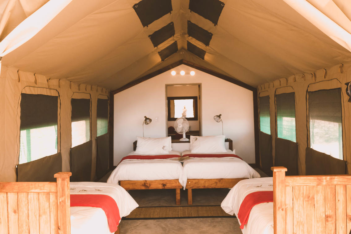 Etosha Safari Camping2Go Gondwana Collection Namibia - Gallery