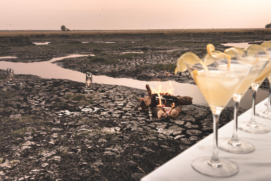 Wilderness Shumba - Gallery