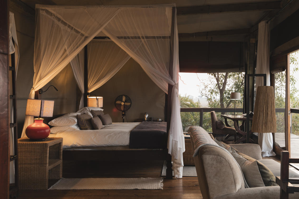 Wilderness Shumba - Gallery